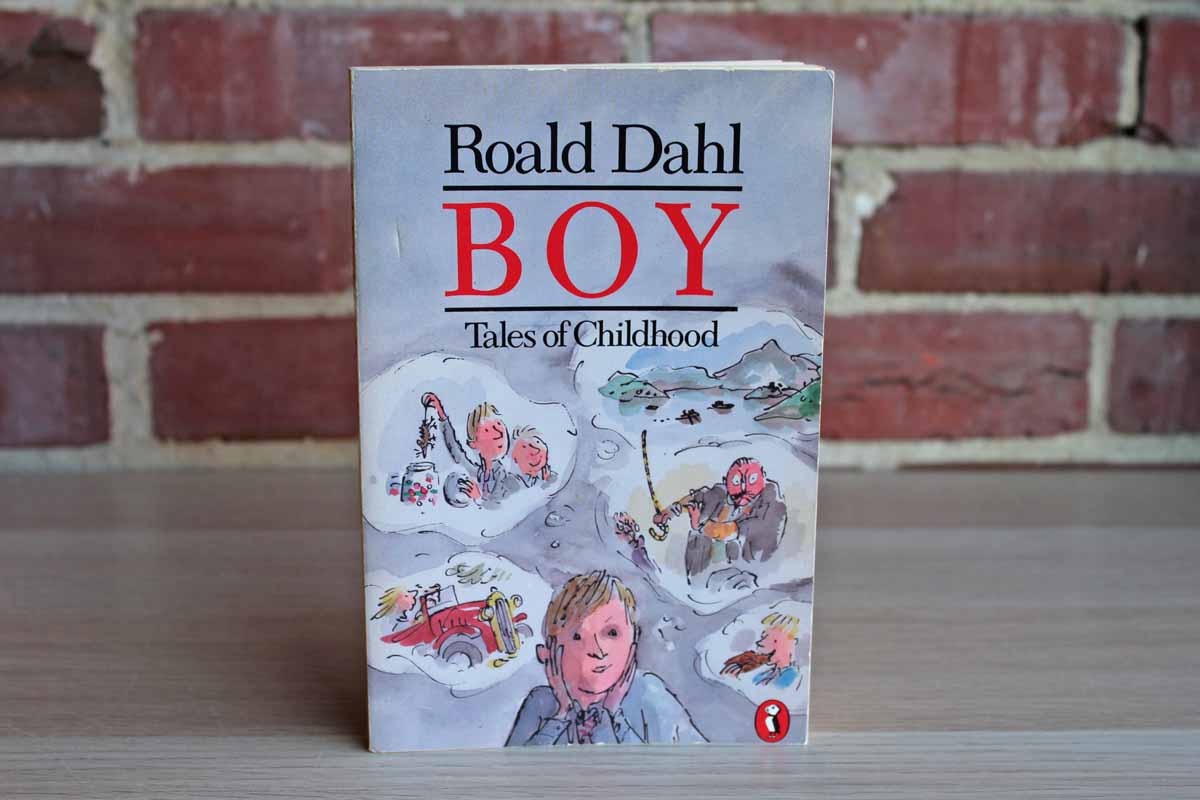 Boy Tales Of Childhood
